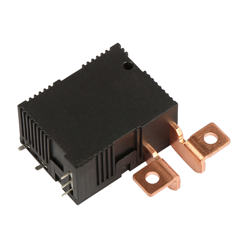 100A 250VAC 1A 1B Dual Coil 12V 24V Latching Relay for Electricity ...